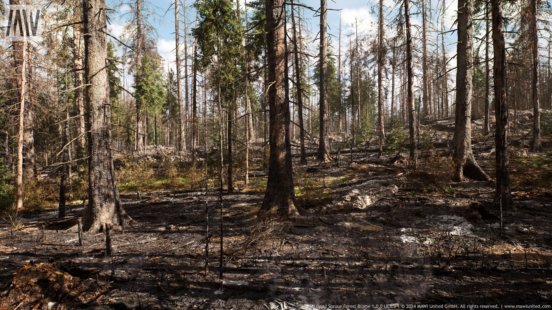 MAWI United - UE5.3 Dead Spruce Forest Biome