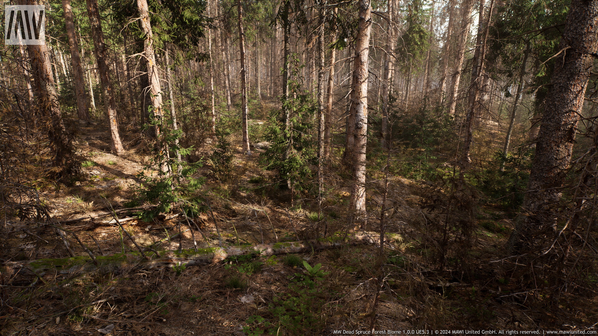 MAWI United - UE5.3 Dead Spruce Forest Biome