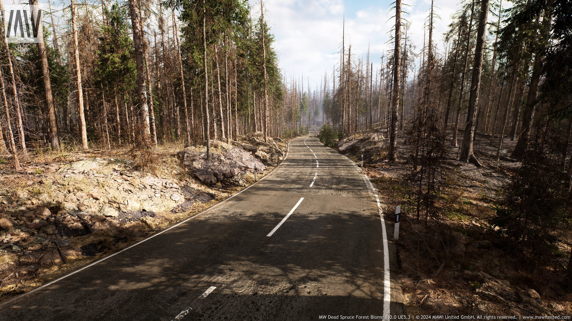 MAWI United - UE5.3 Dead Spruce Forest Biome