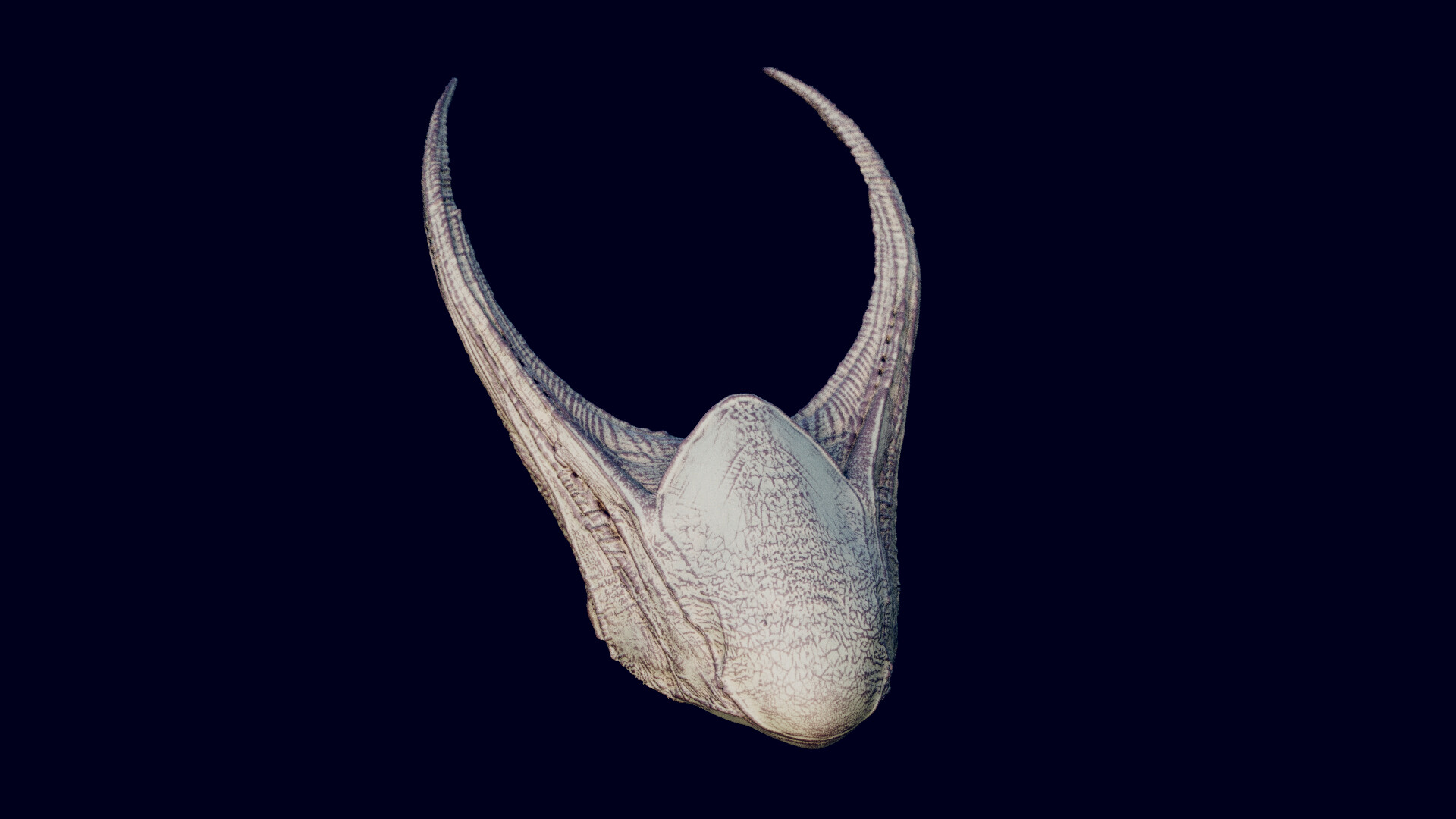 Bernhard van der Horst 3D Artist - Horns Volume 2