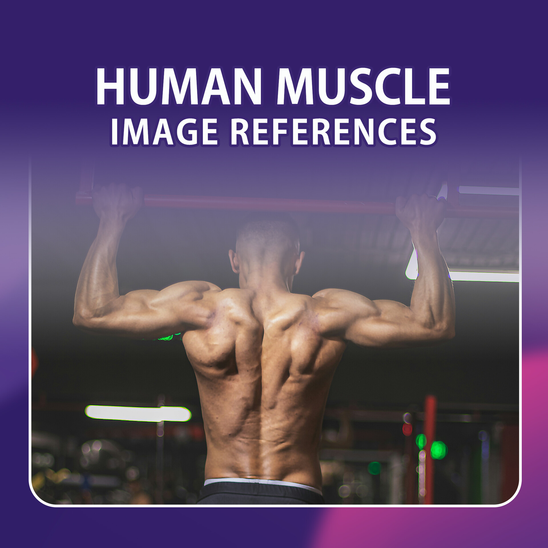 ArtStation - 400 Human Muscle Image Reference – Vol 1