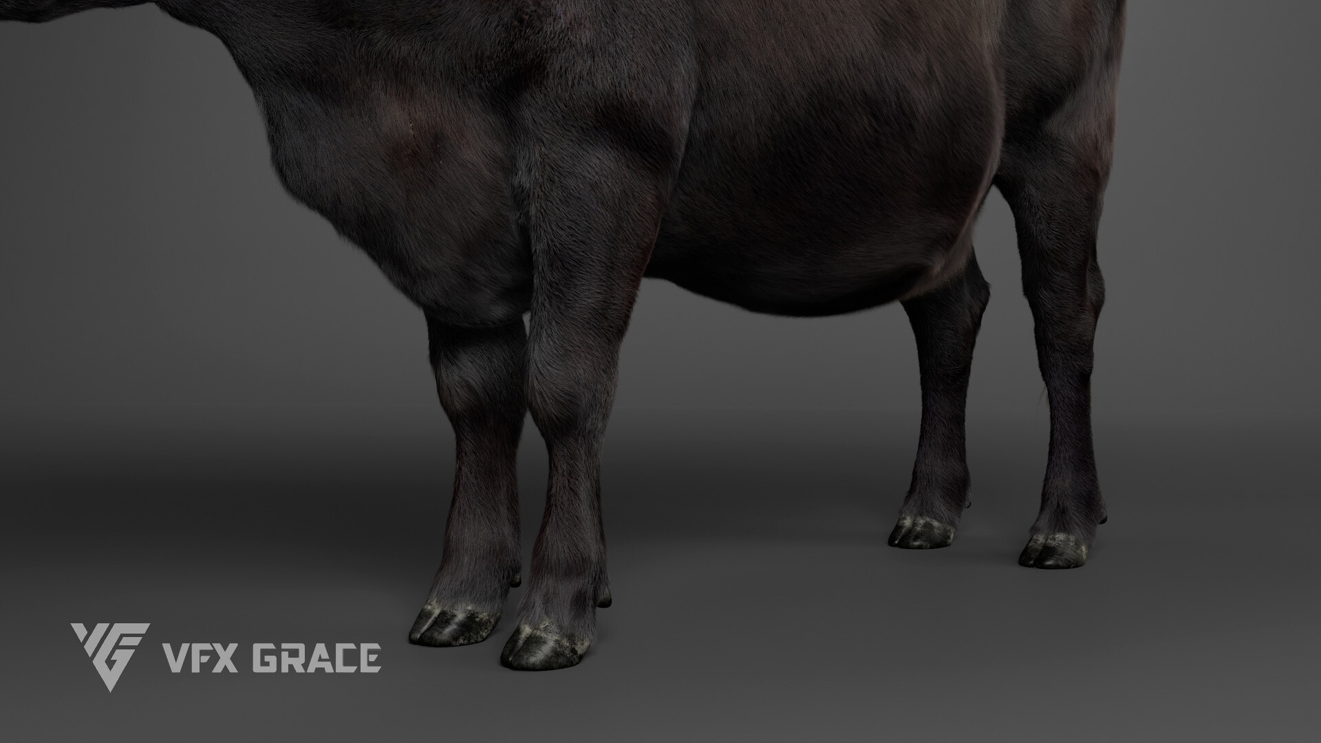 VFX models - Black Cattle Rig - MAYA Character Asset