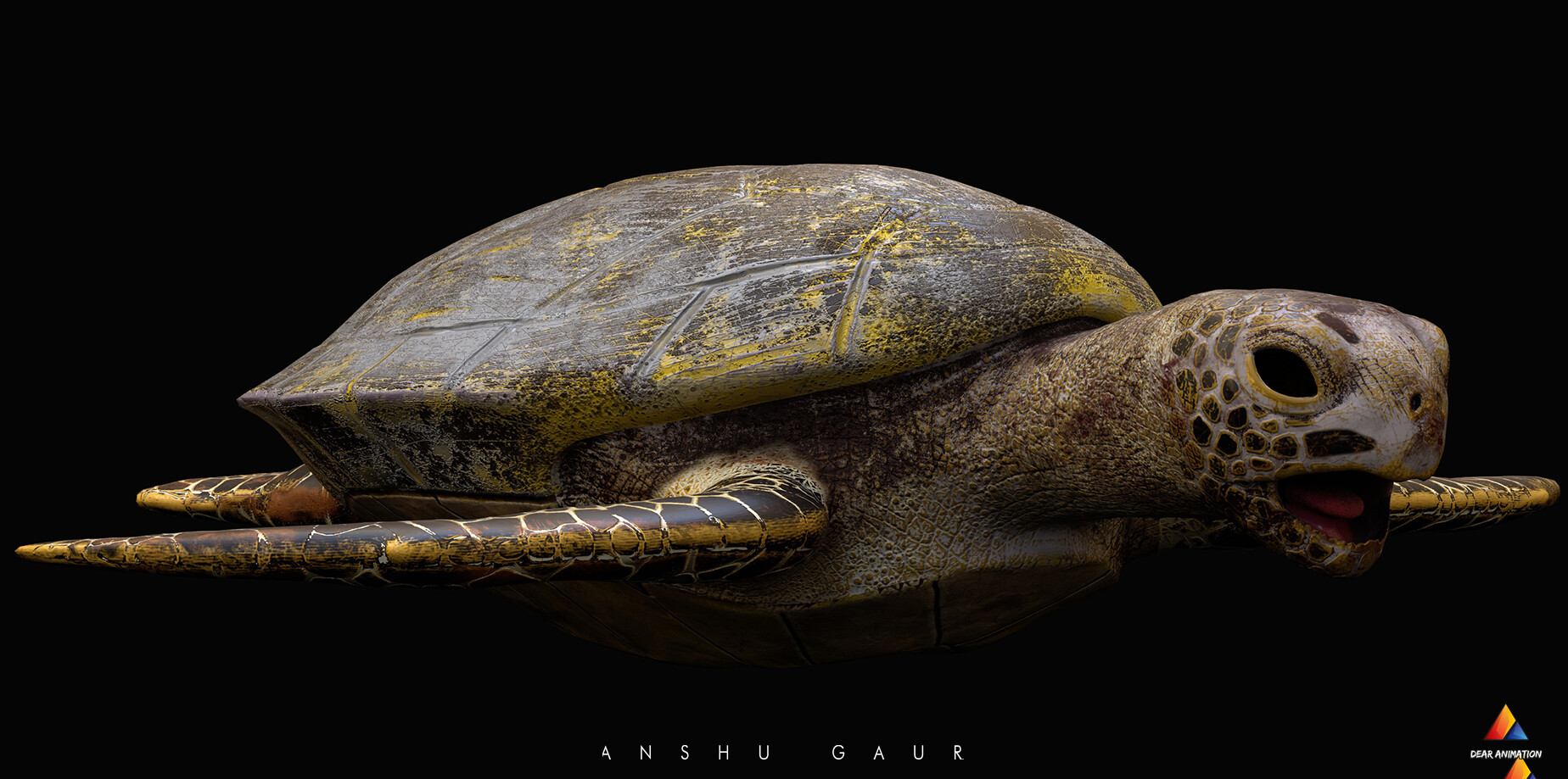 ArtStation - Turtles