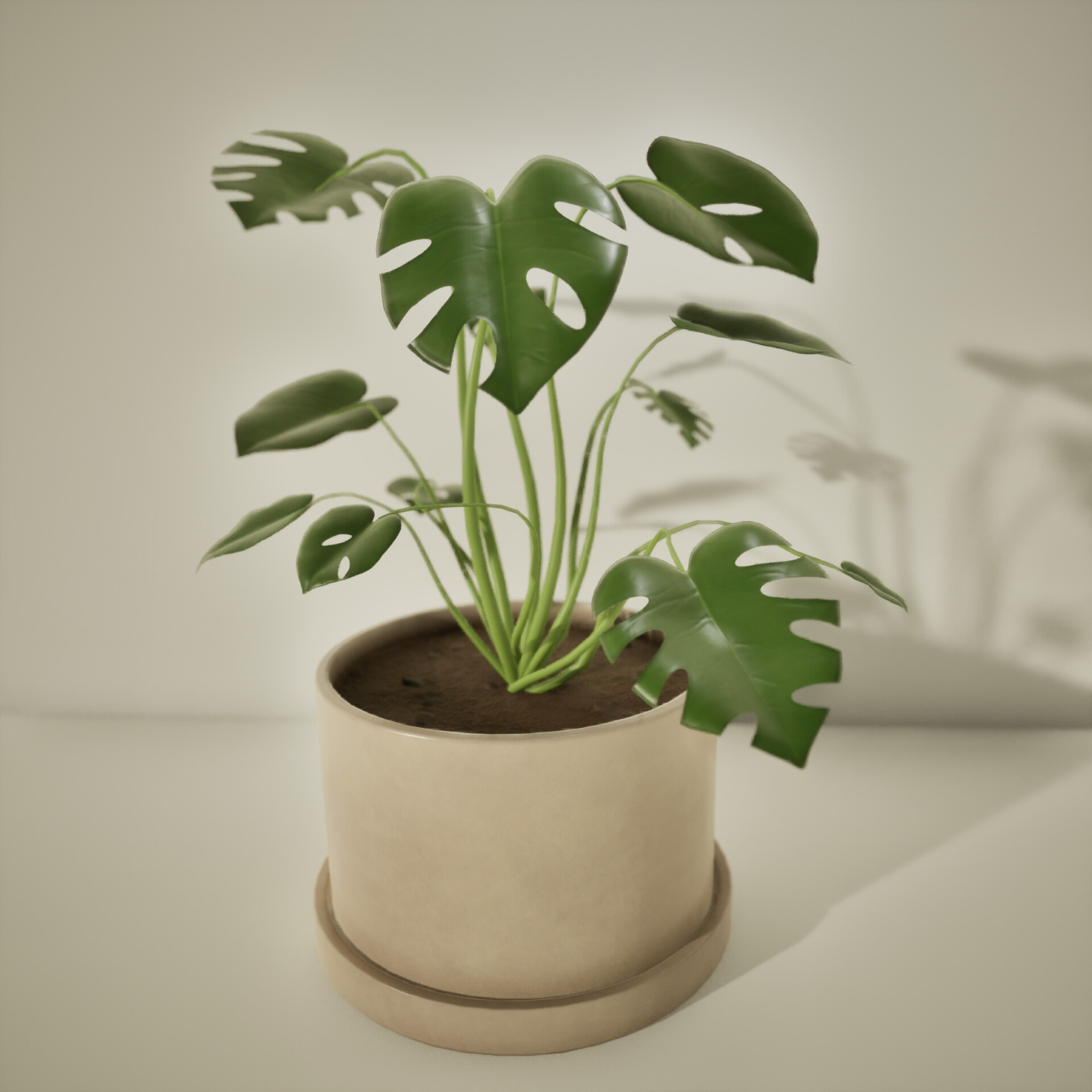 ArtStation - Monstera Deliciosa