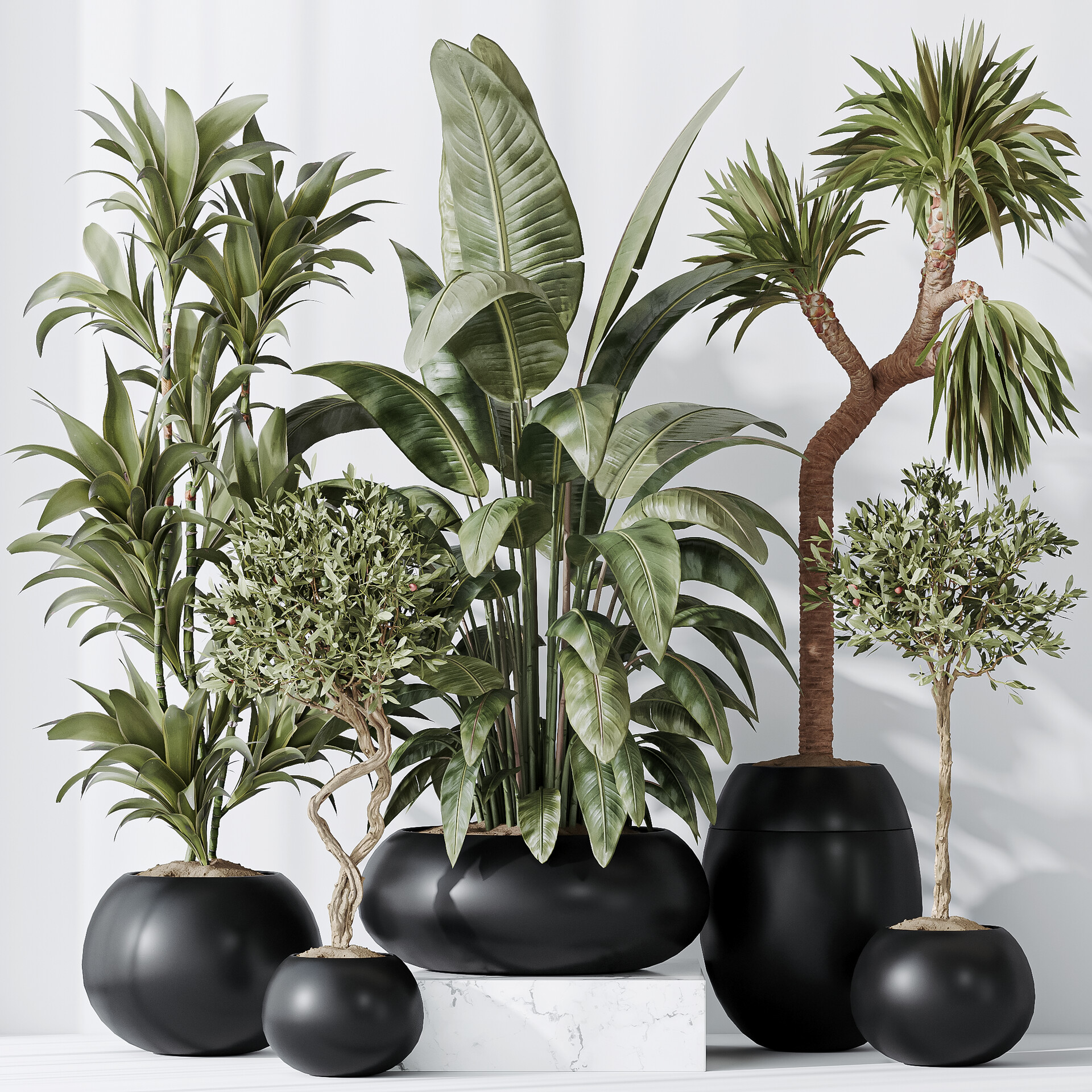 PANDORA Land - Indoor plant set 47