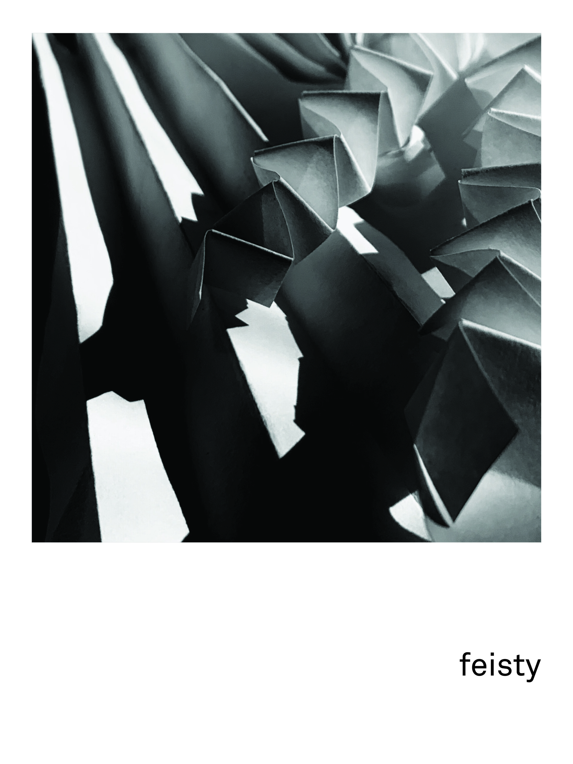 ArtStation - Feisty 1