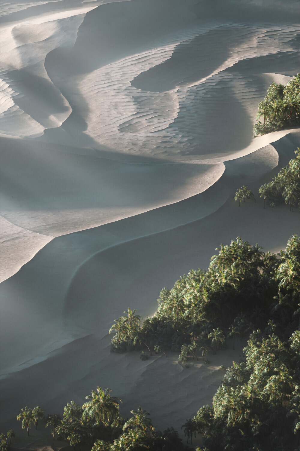 World Creator - The Real-Time Terrain Generator and Landscape Generator - Render 008