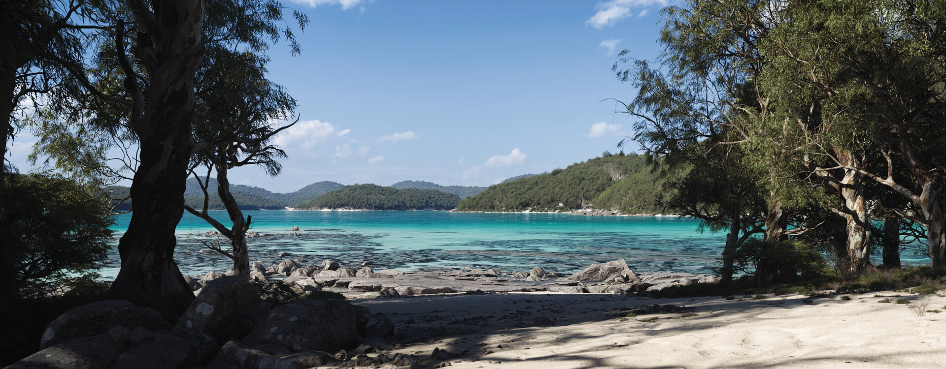 World Creator - The Real-Time Terrain Generator and Landscape Generator ...