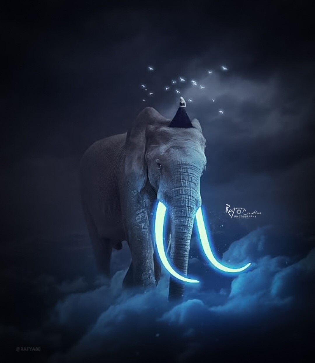 Rajesh Raj Madha - Rajesh Raj Portfolio