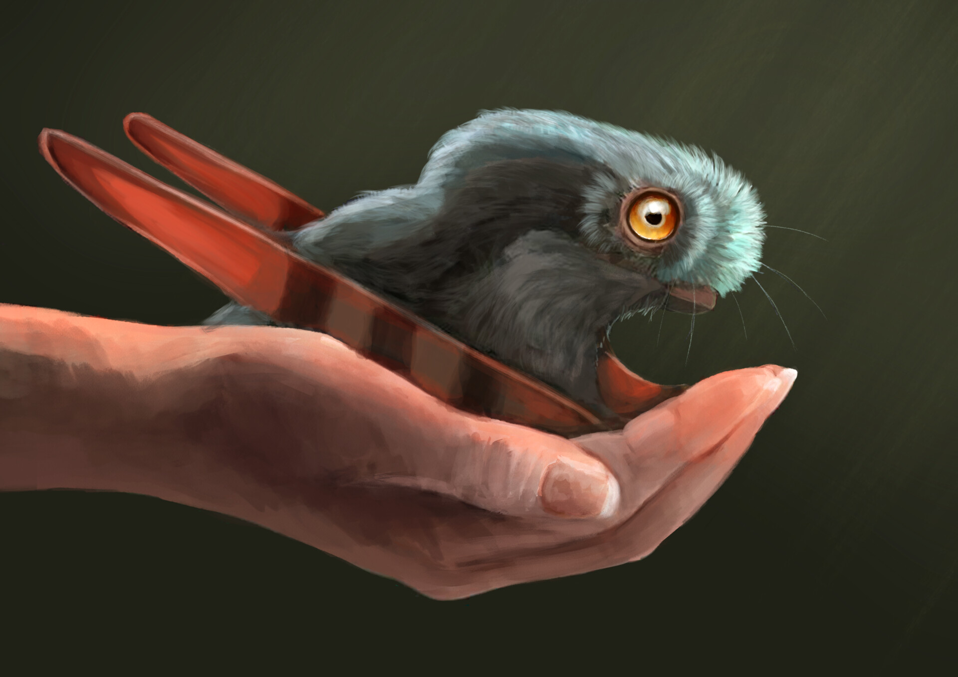 ArtStation - Sinomacrops bondei