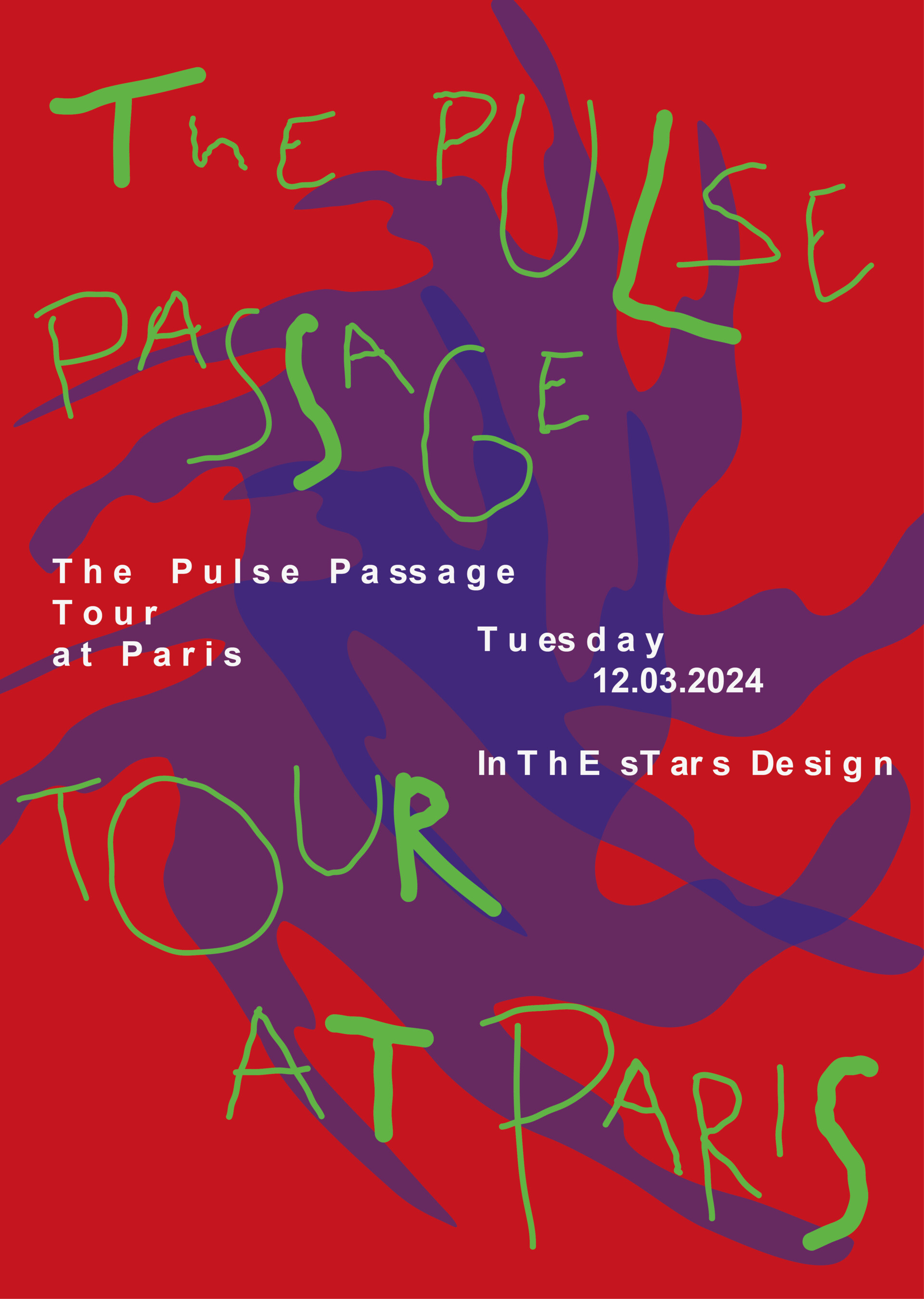 Aïda NDIAYE - "The Pulse Passage Tour" Poster - Personal Project