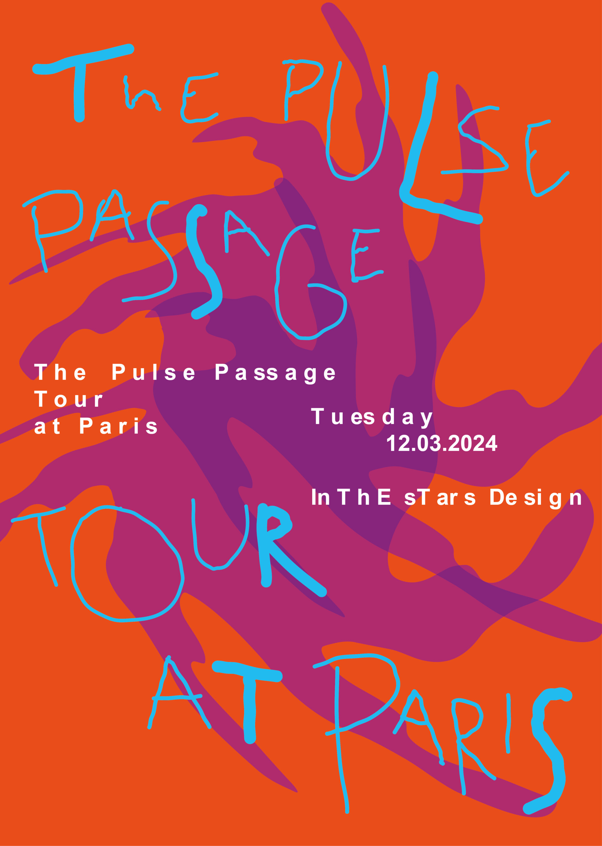 Aïda NDIAYE - "The Pulse Passage Tour" Poster - Personal Project