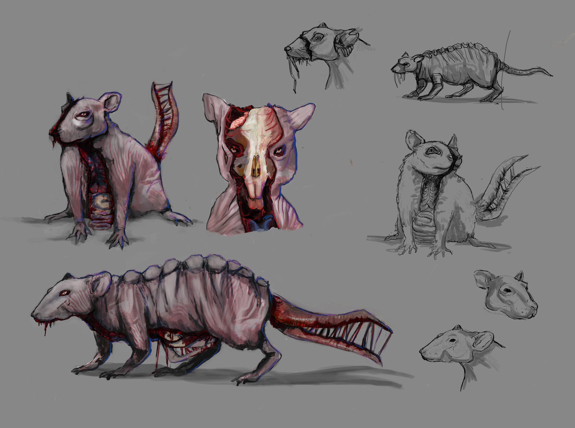 ArtStation - Colo colo rat god design