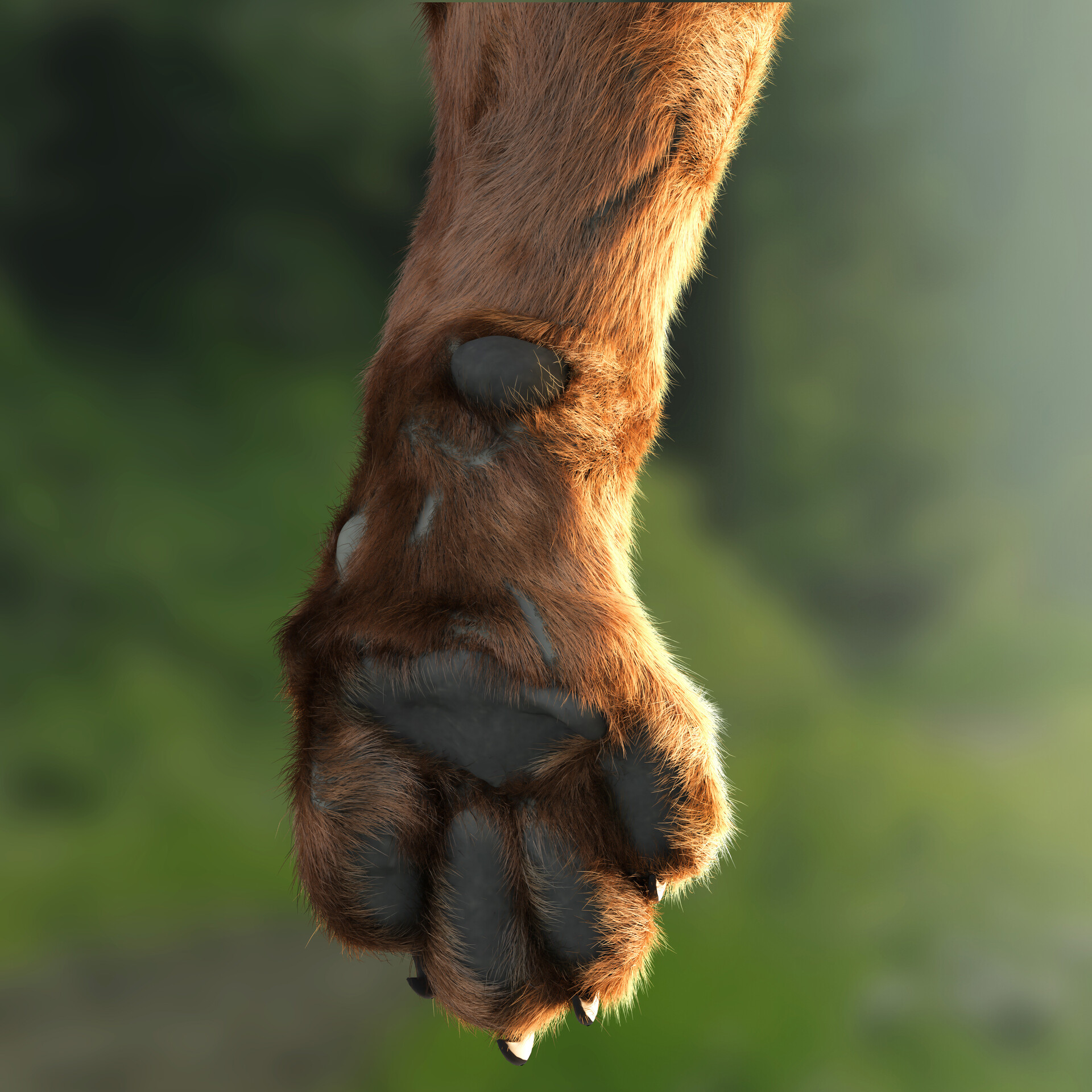 vinayak patwariya - Lion Feet houdini groom