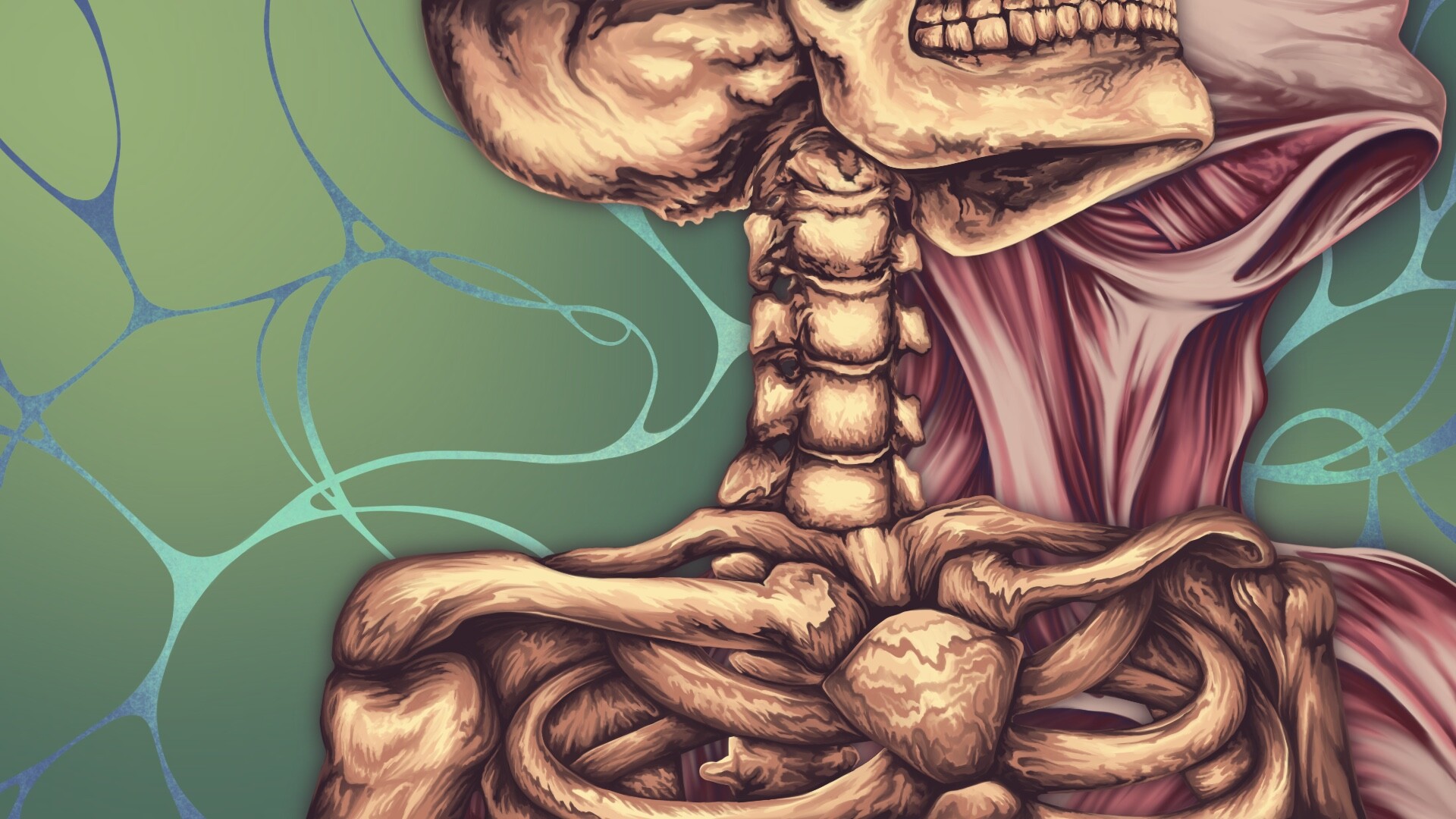 ArtStation - Human Anatomy