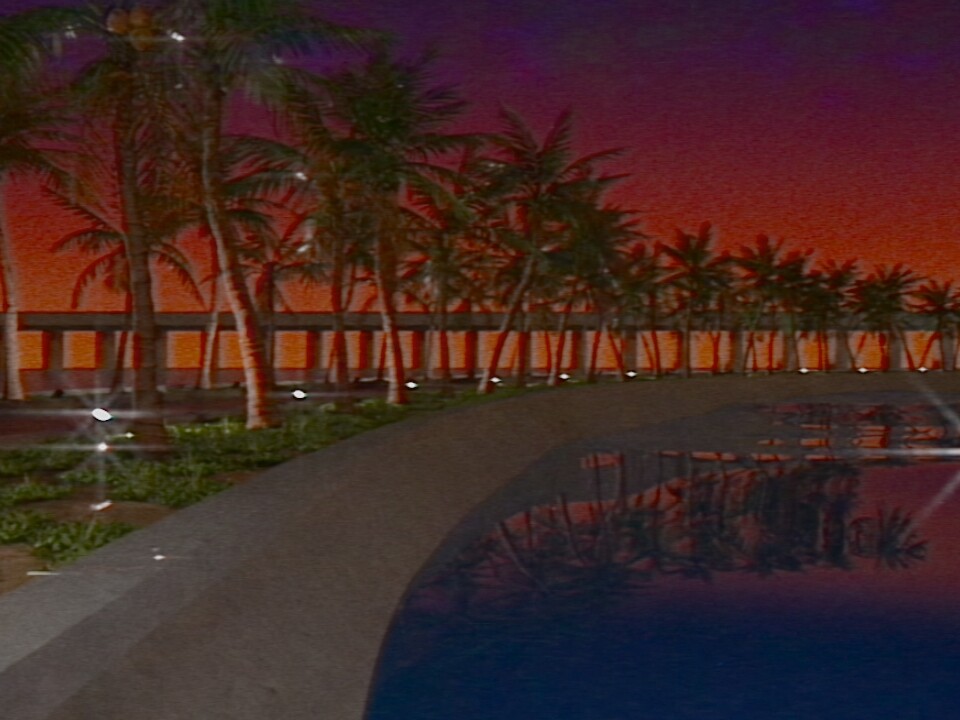 ArtStation - VHS Street Palms