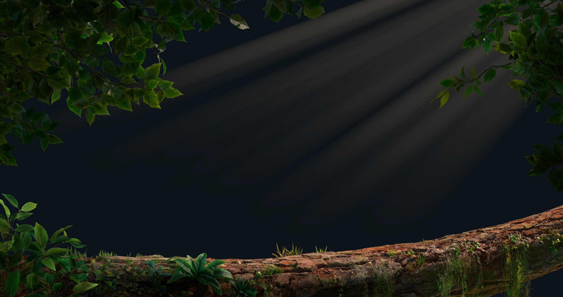 ArtStation - Magic forest