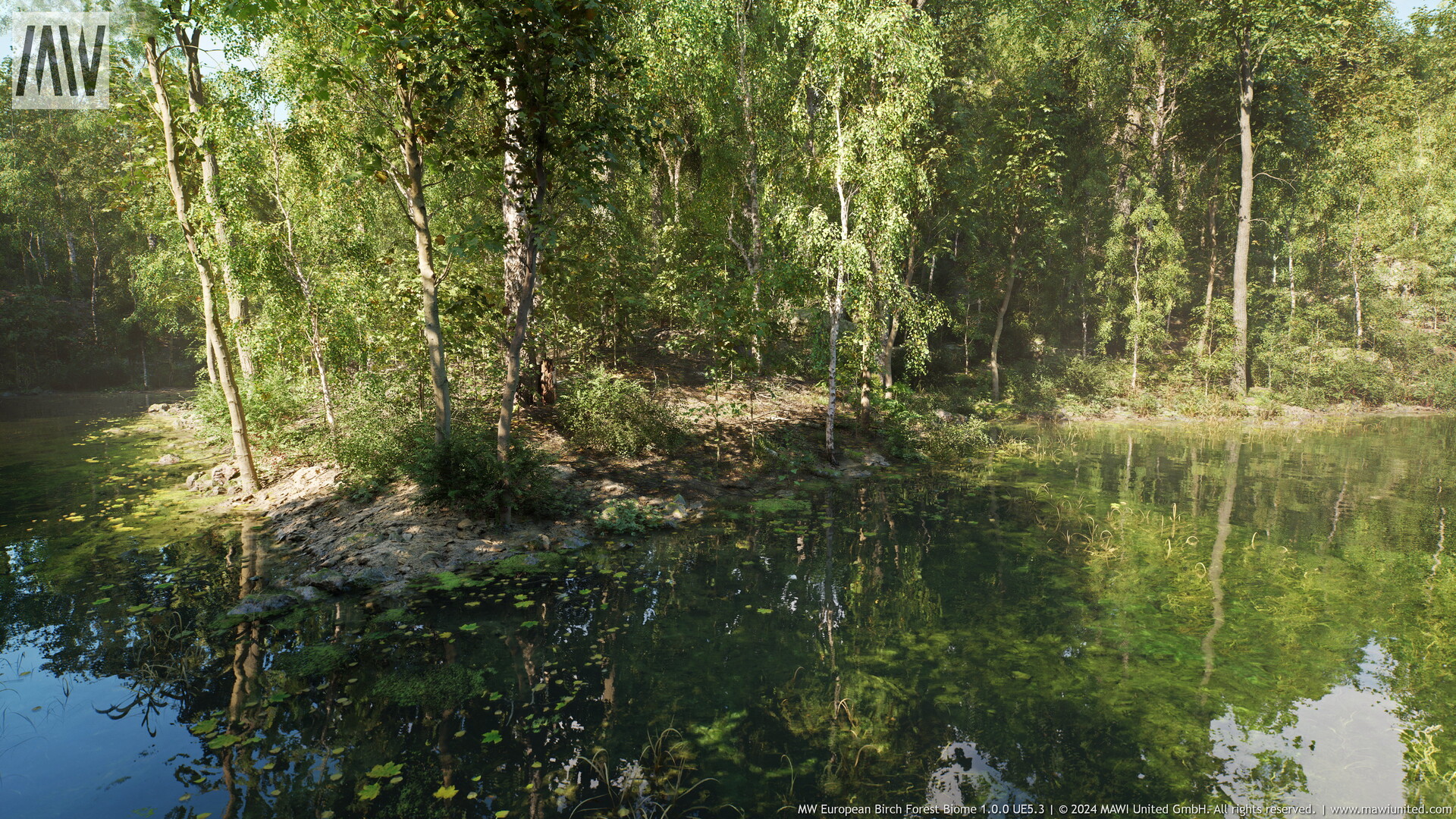 MAWI United - UE5.3 Birch Forest Biome