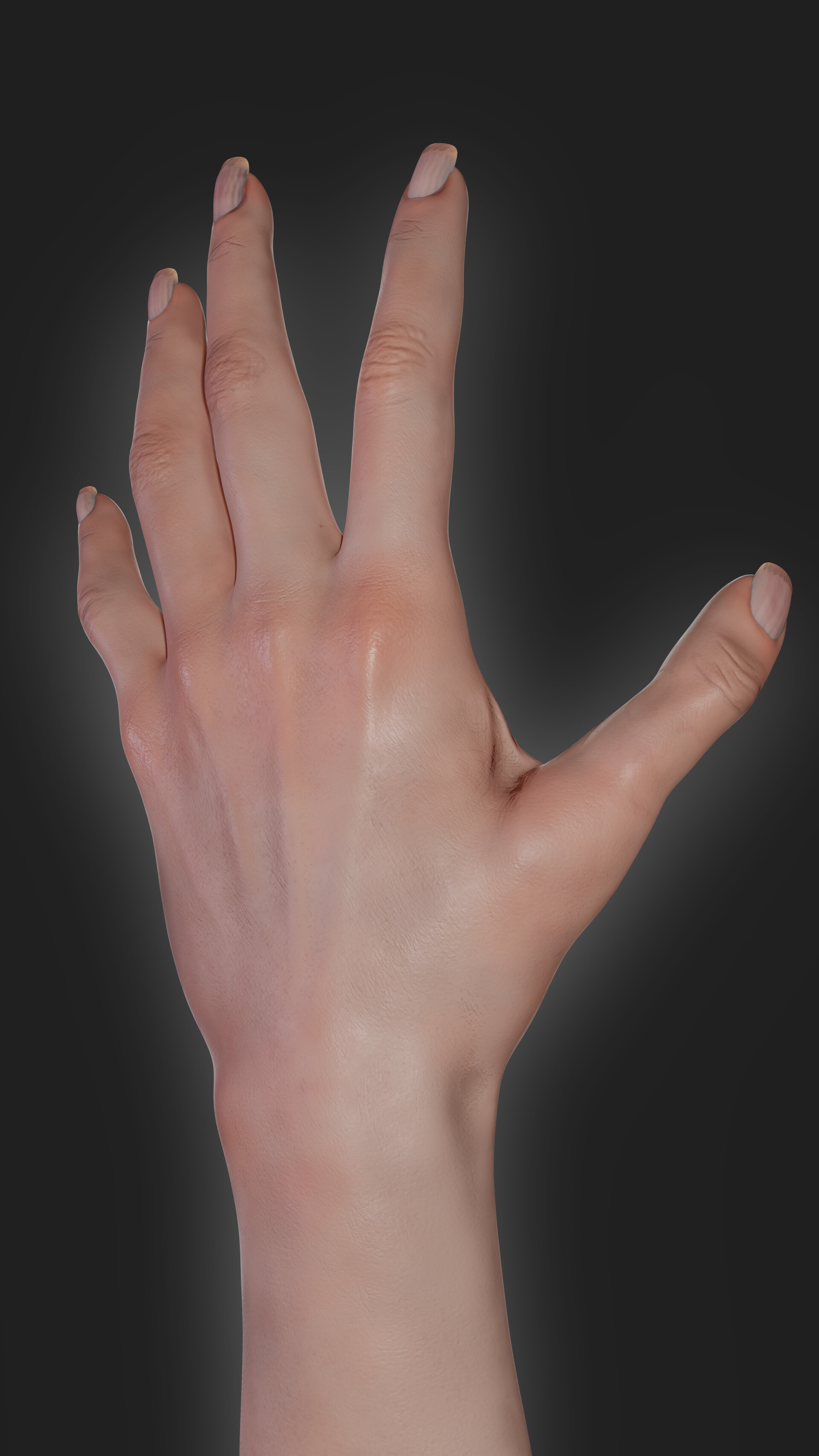 ArtStation - Female Hand