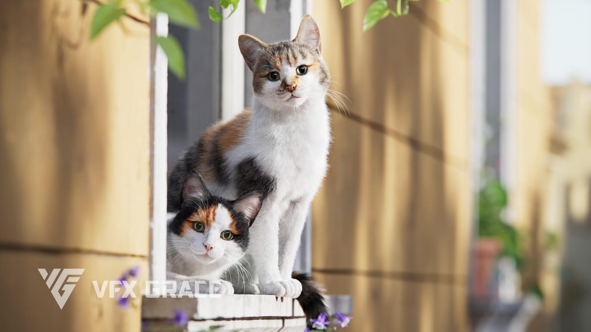 VFX models - Calico Cat Animation - UE Character Asset
