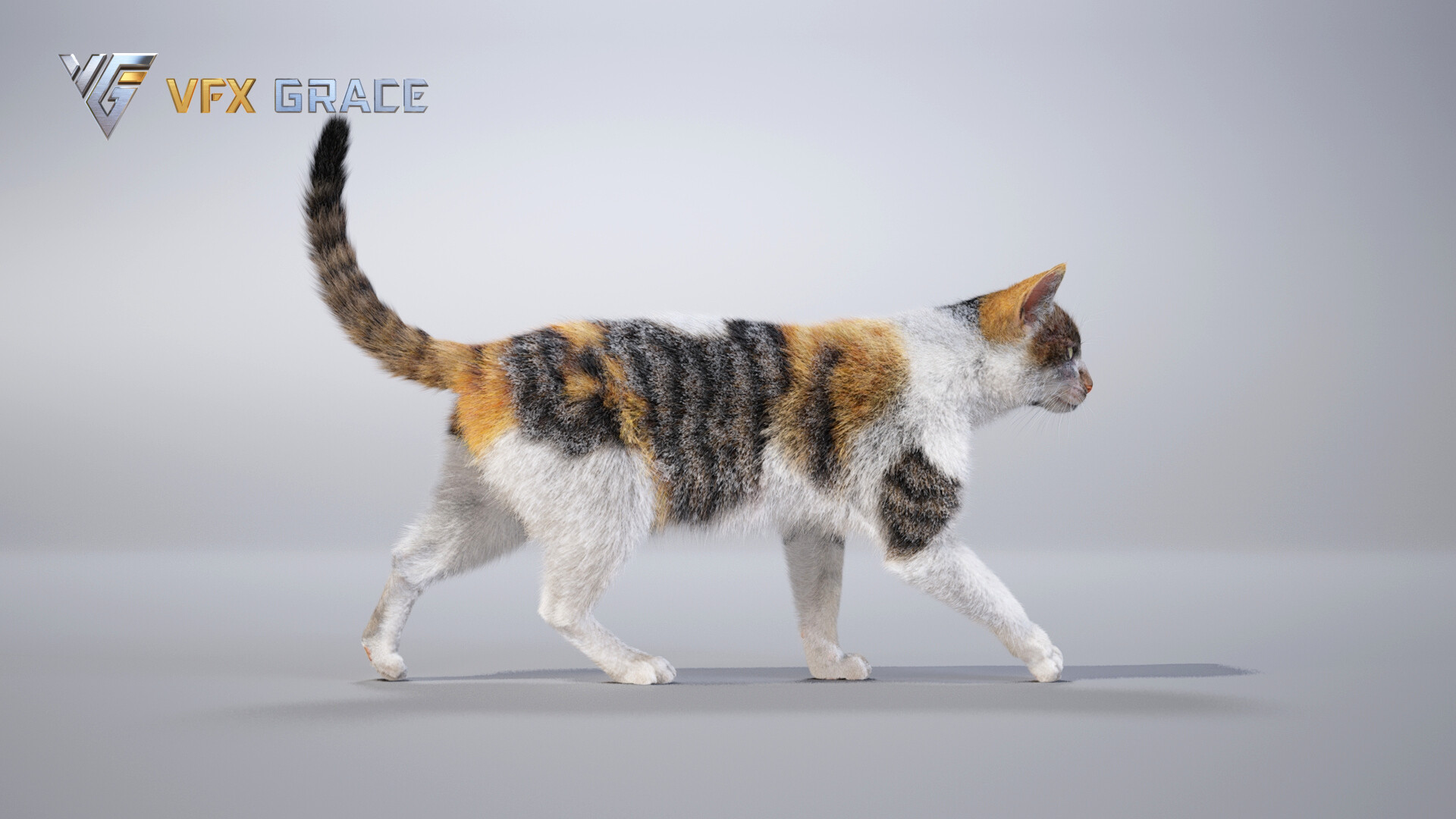 VFX models - Calico Cat Animation - UE Character Asset