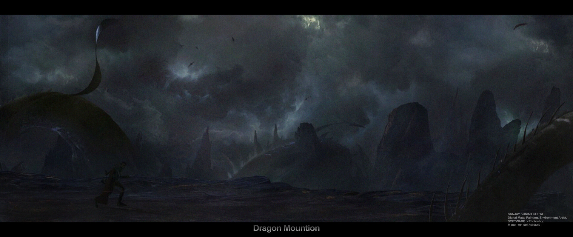 ArtStation - Dragon Mountion