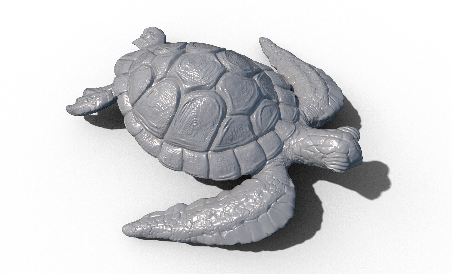 ArtStation - turtle
