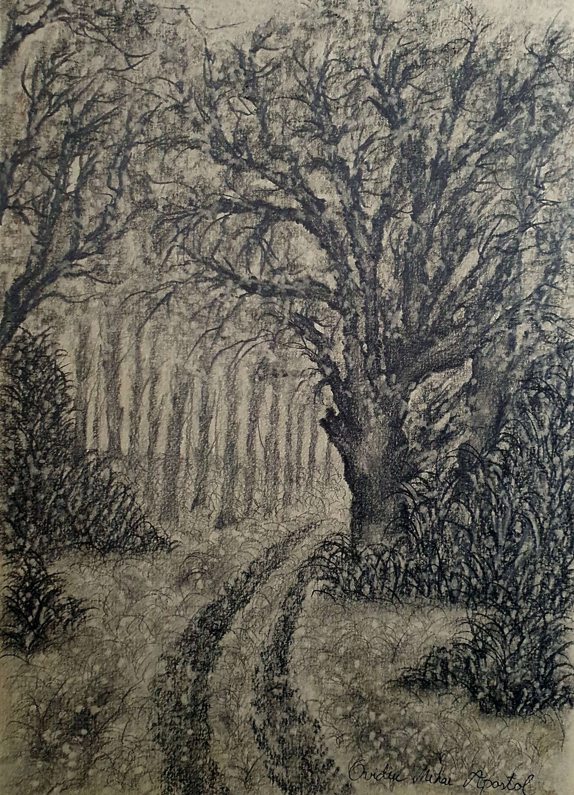 ArtStation - Landscape in Graphite