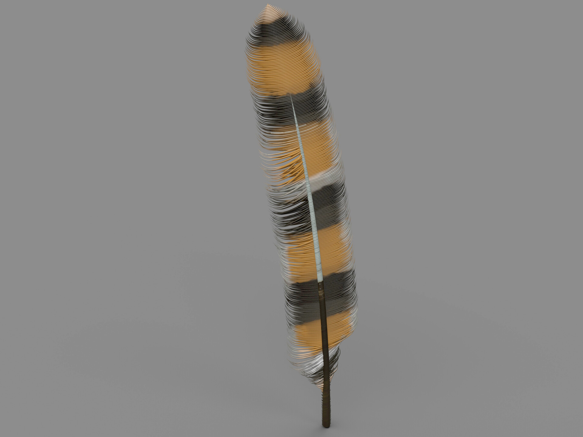 ArtStation - Basic Procedural Feather