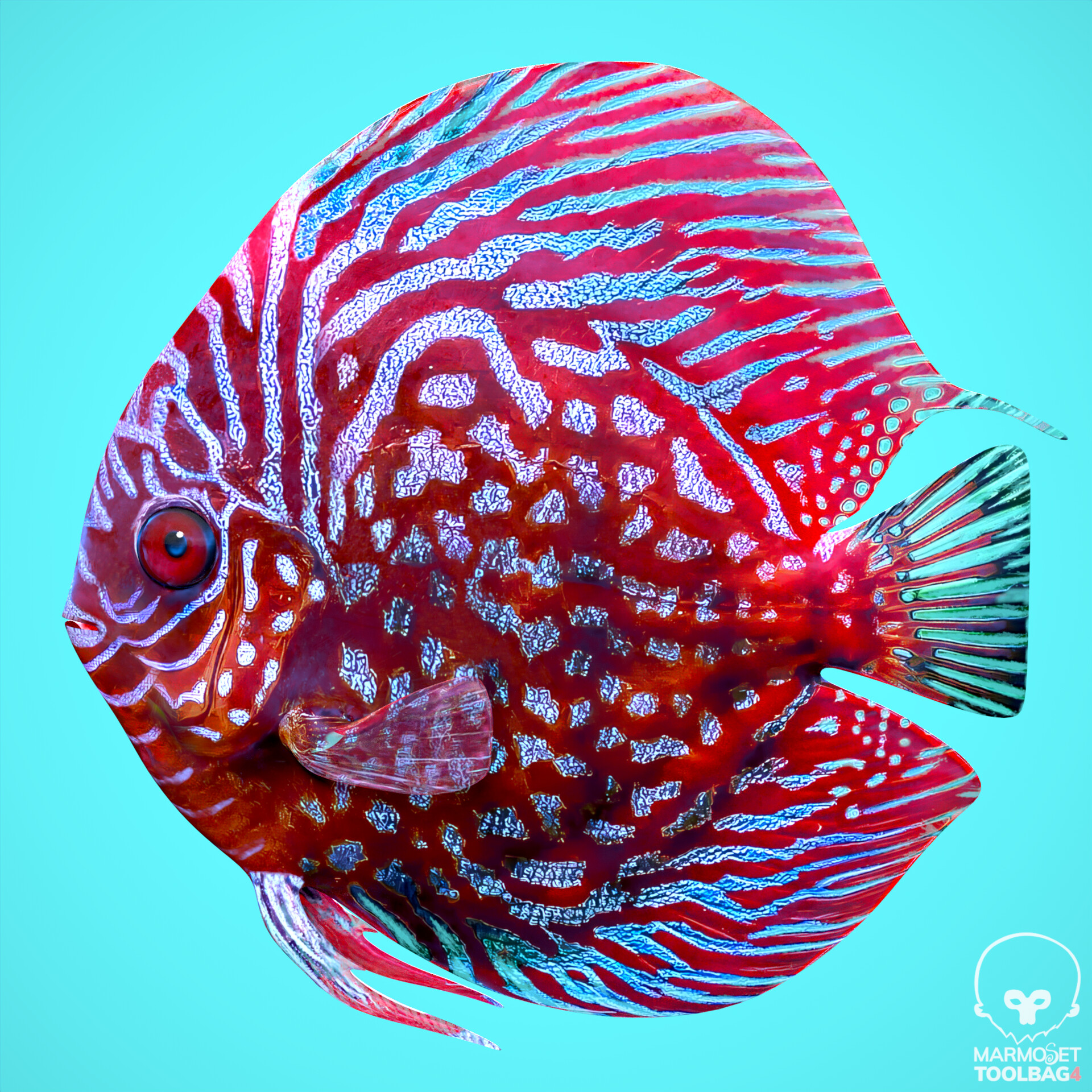 ArtStation - Discus Cichlid