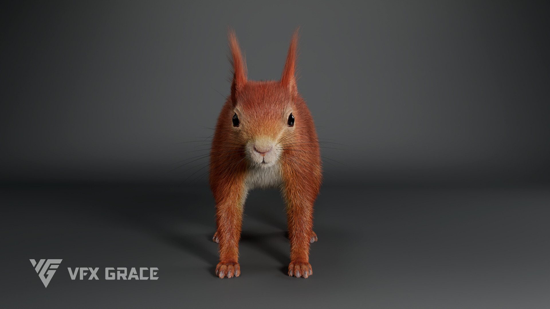 animated red squirrel