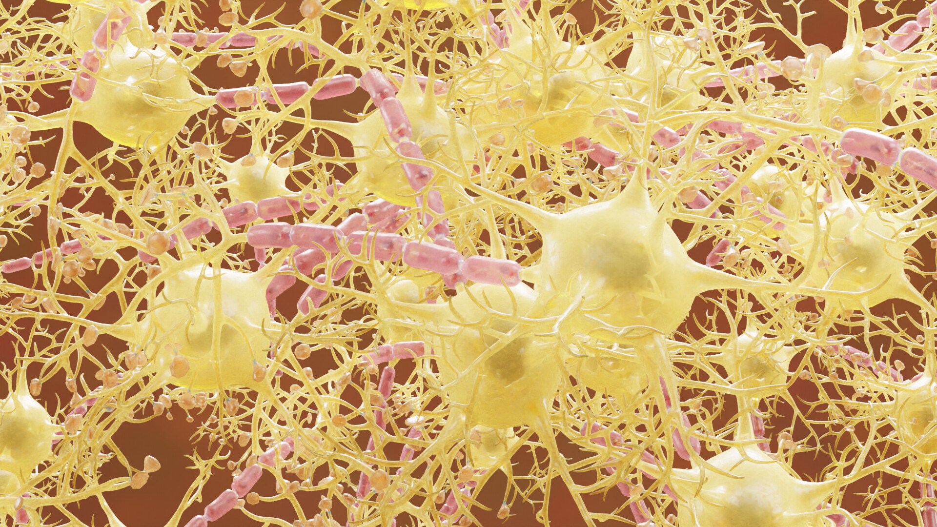 Michael Bescec - 3D Collection of Neurons and Neural Networks