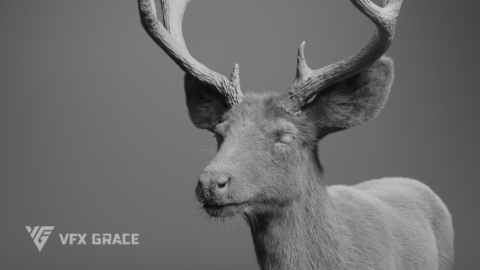 VFX models - Mule Deer Animated - MAYA Character Asset
