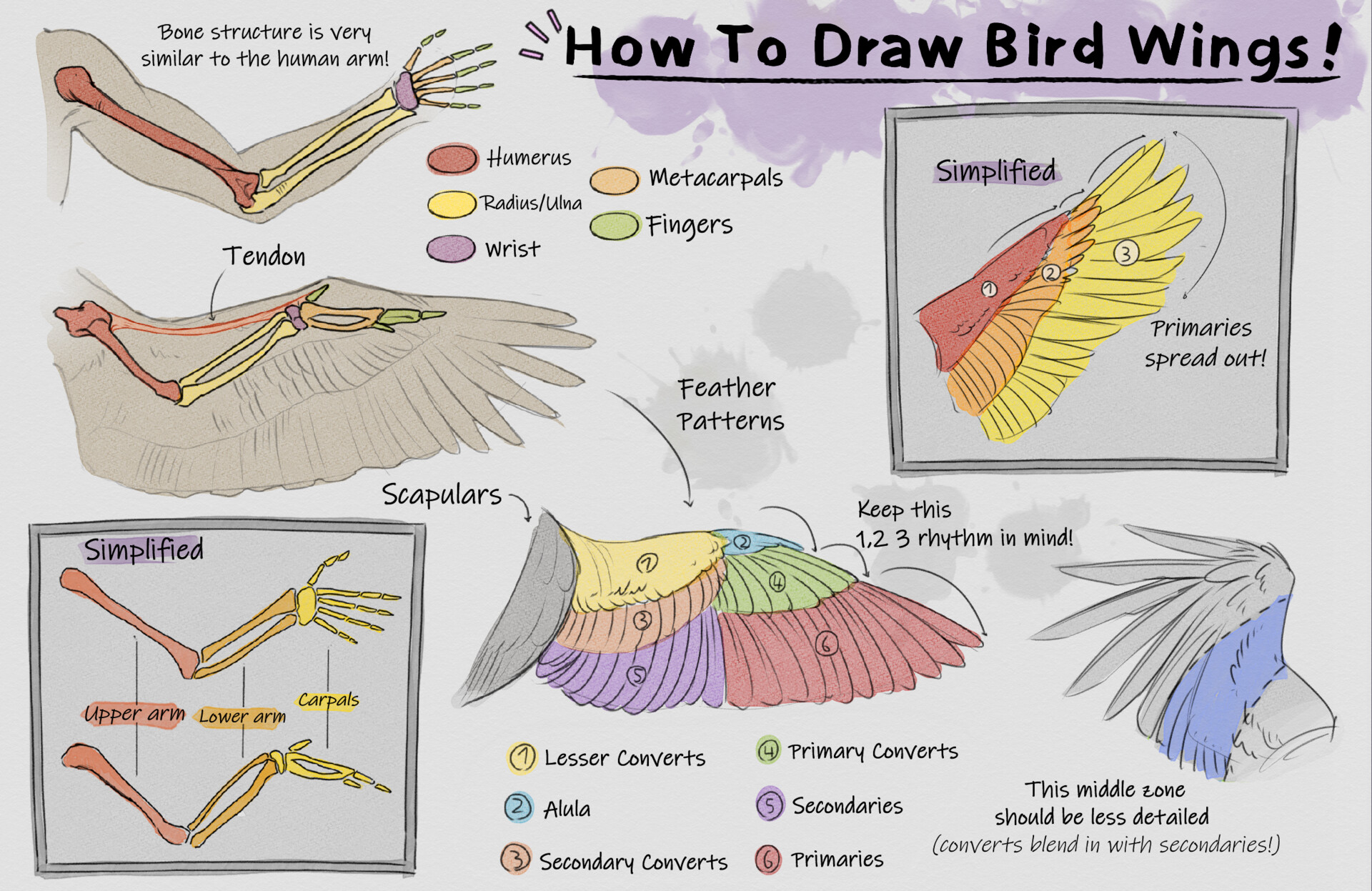 how to draw bird wings