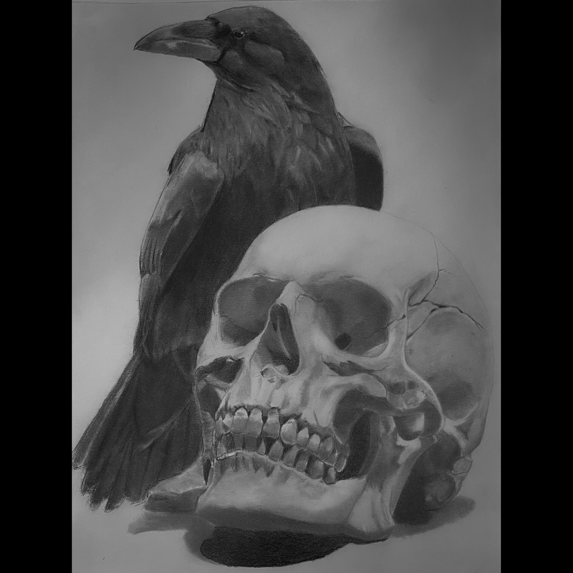 ArtStation - Skull & Raven
