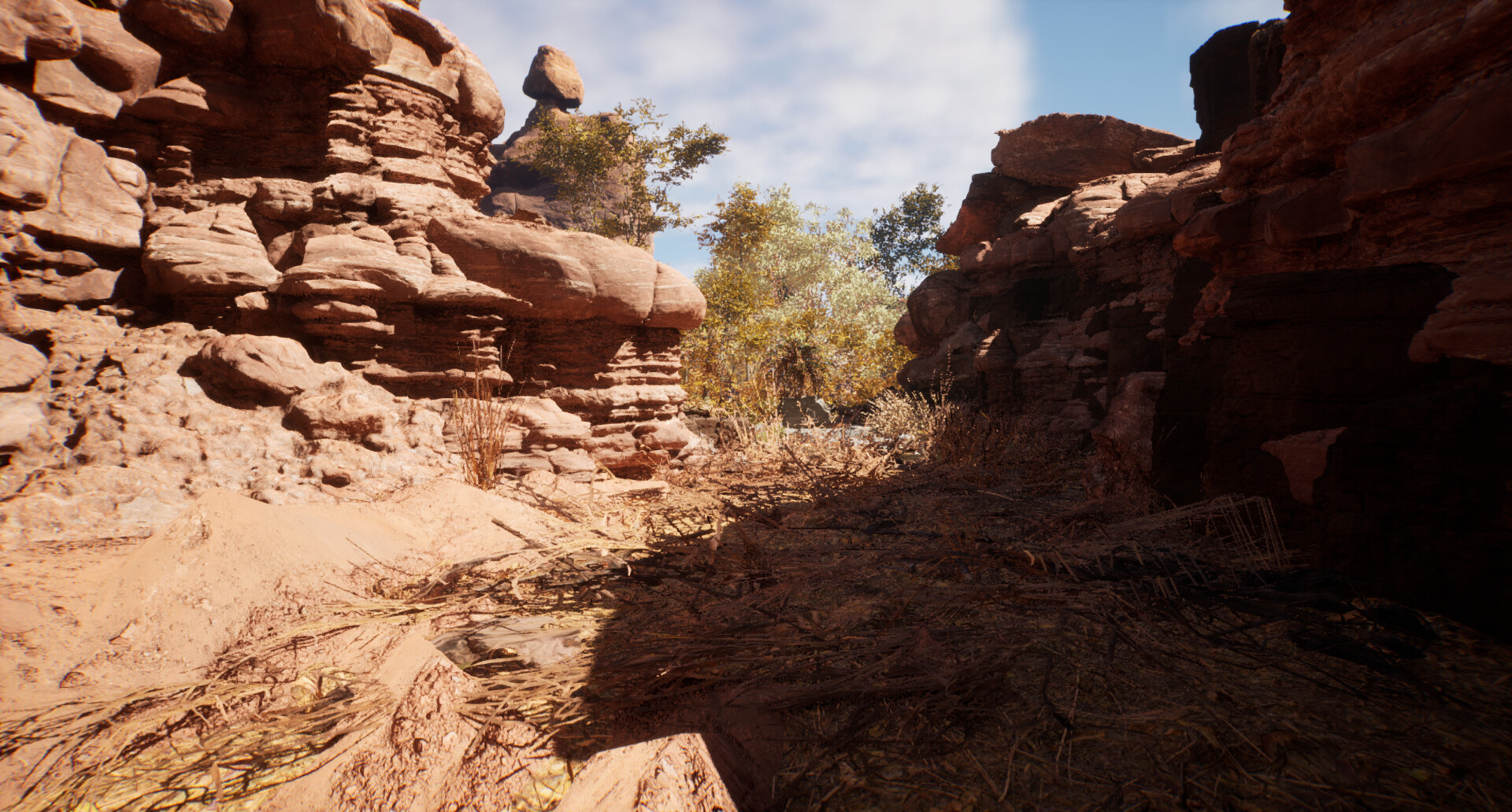 Phat “Jack” D Trinh - Moab Desert National Park