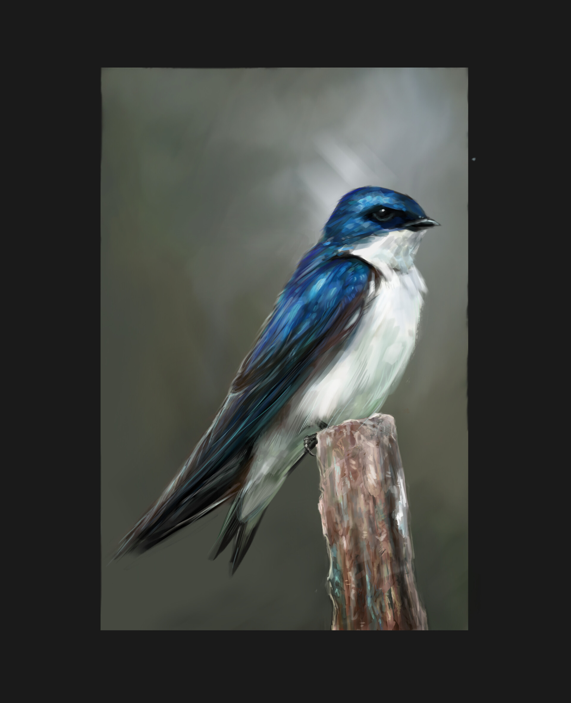 ArtStation - Bluebird