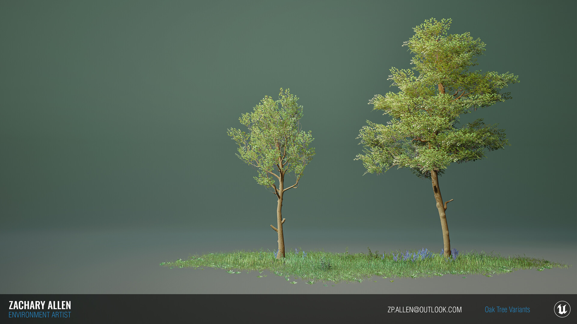 Zachary Allen - The Old Ruins: Real-Time Environment