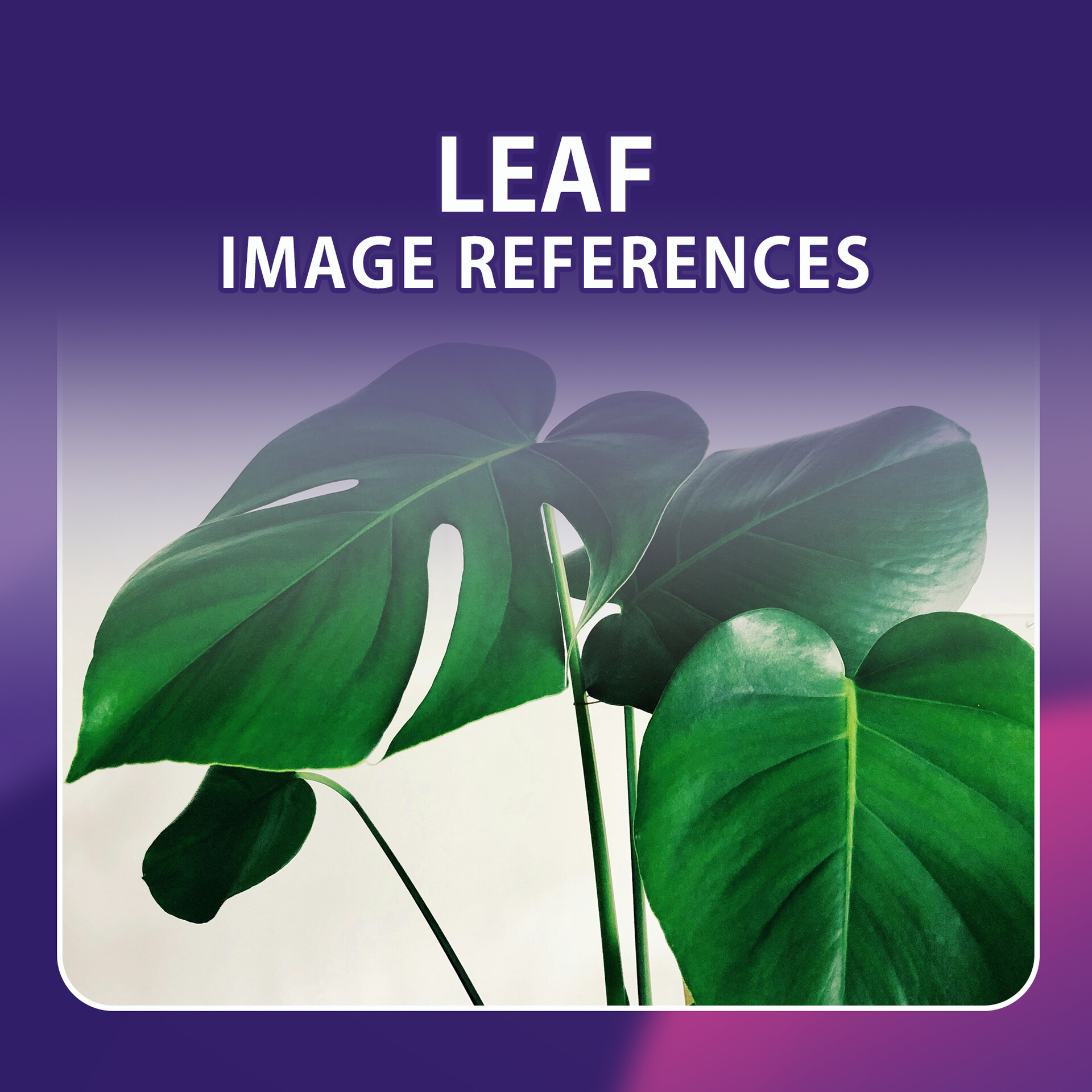ArtStation - 500 Leaf Image Reference – Vol 1