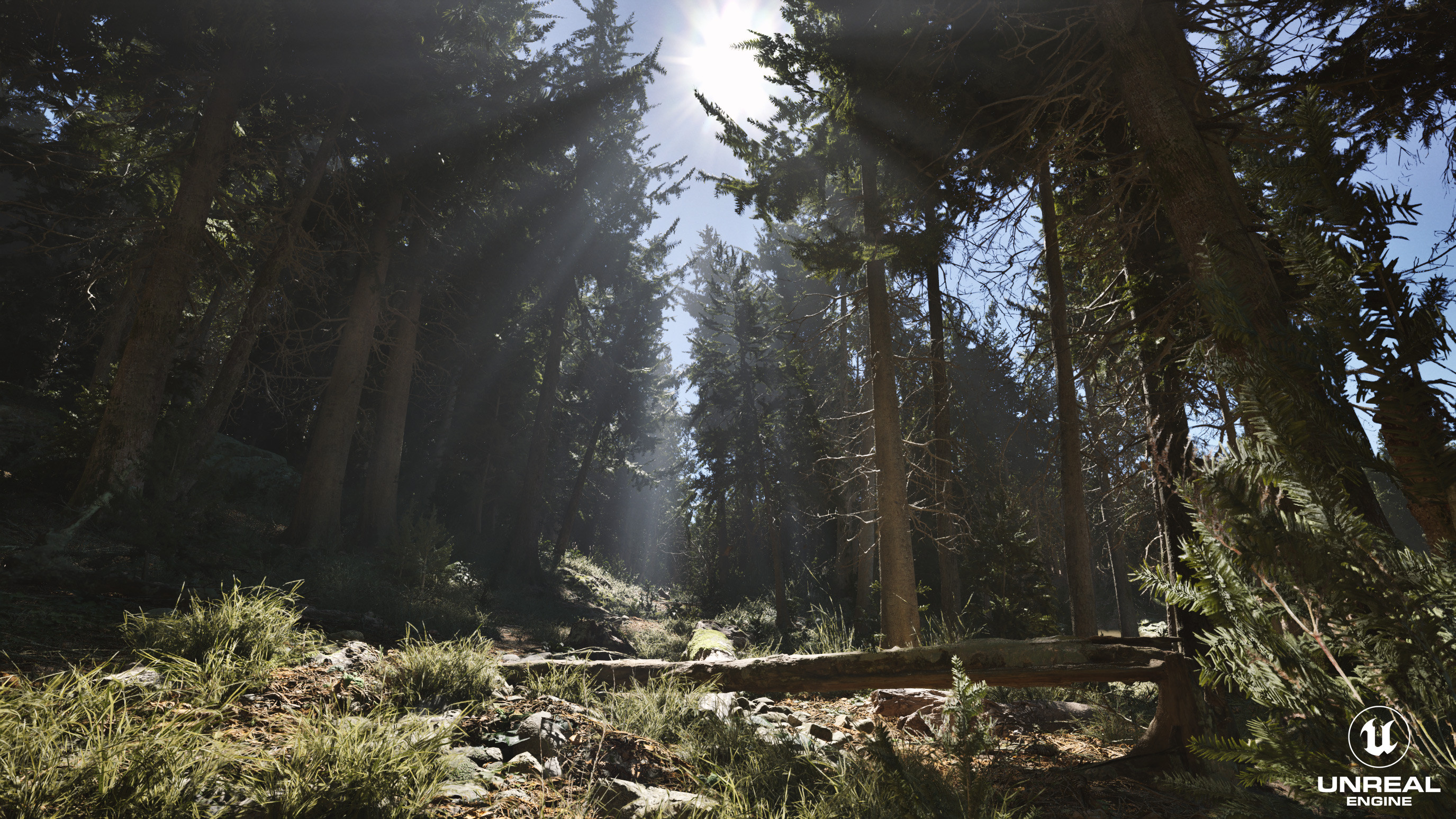 Pasquale Scionti - Realtime Gameplay Realistic Forest Path Unreal Engine 5.3 Lumen Quixel