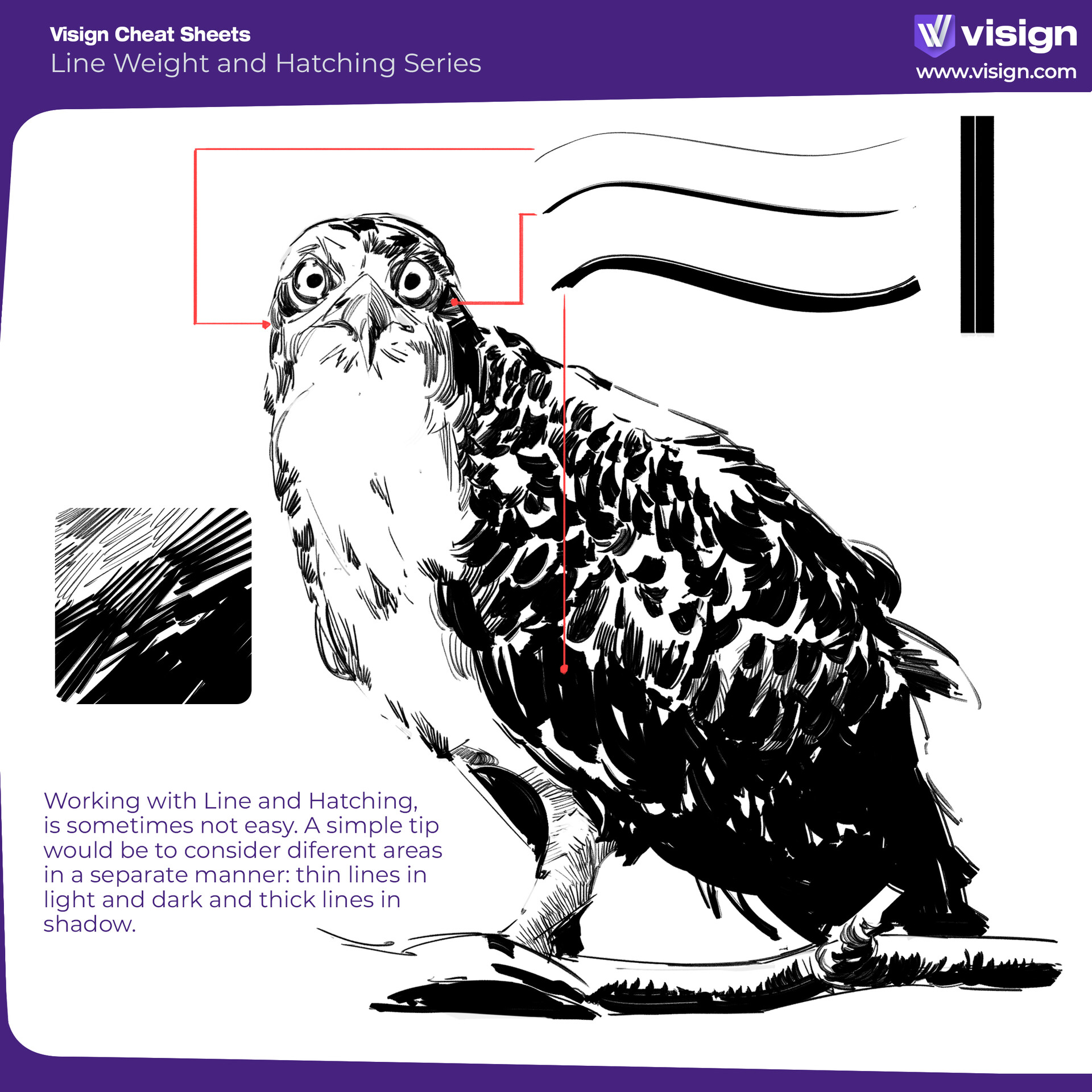 ArtStation - Visign Cheat Sheet: Line Weight and Hatching