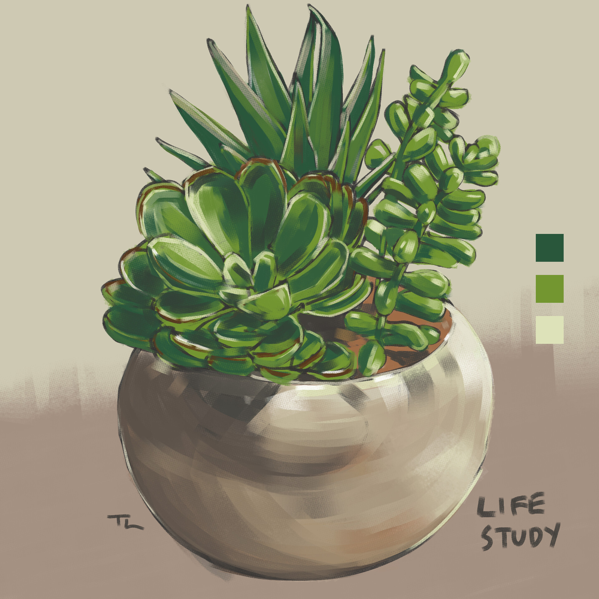 ArtStation - Plant Pot Life Drawing #1