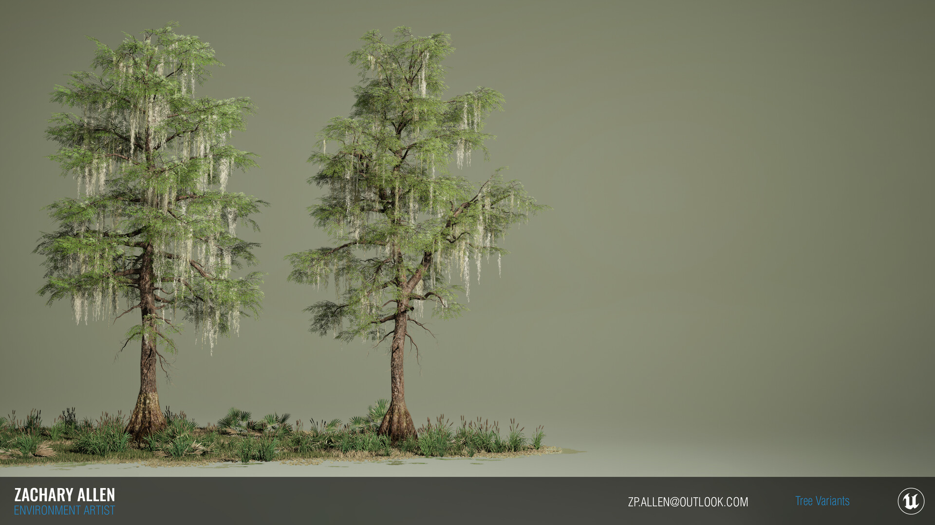 Zachary Allen - Louisiana Bayou: Foliage Study