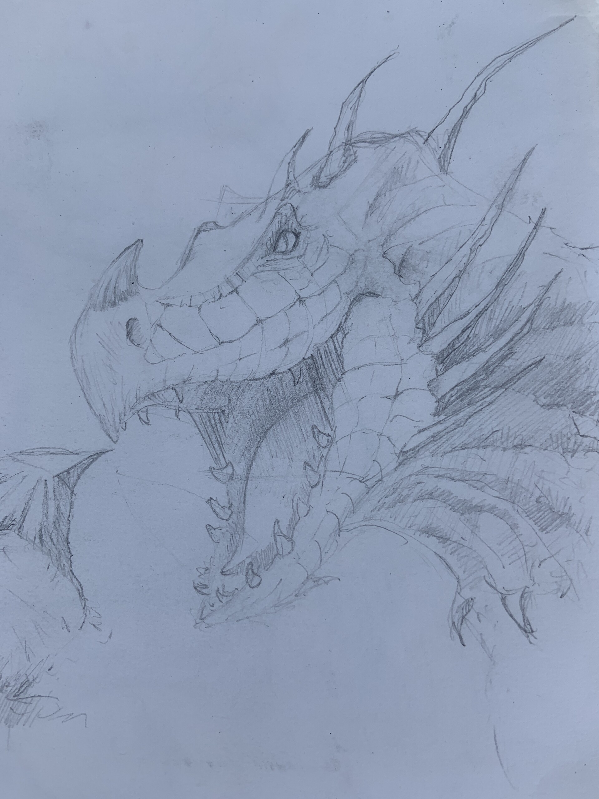 Dean Barrett - Three dragon head studies