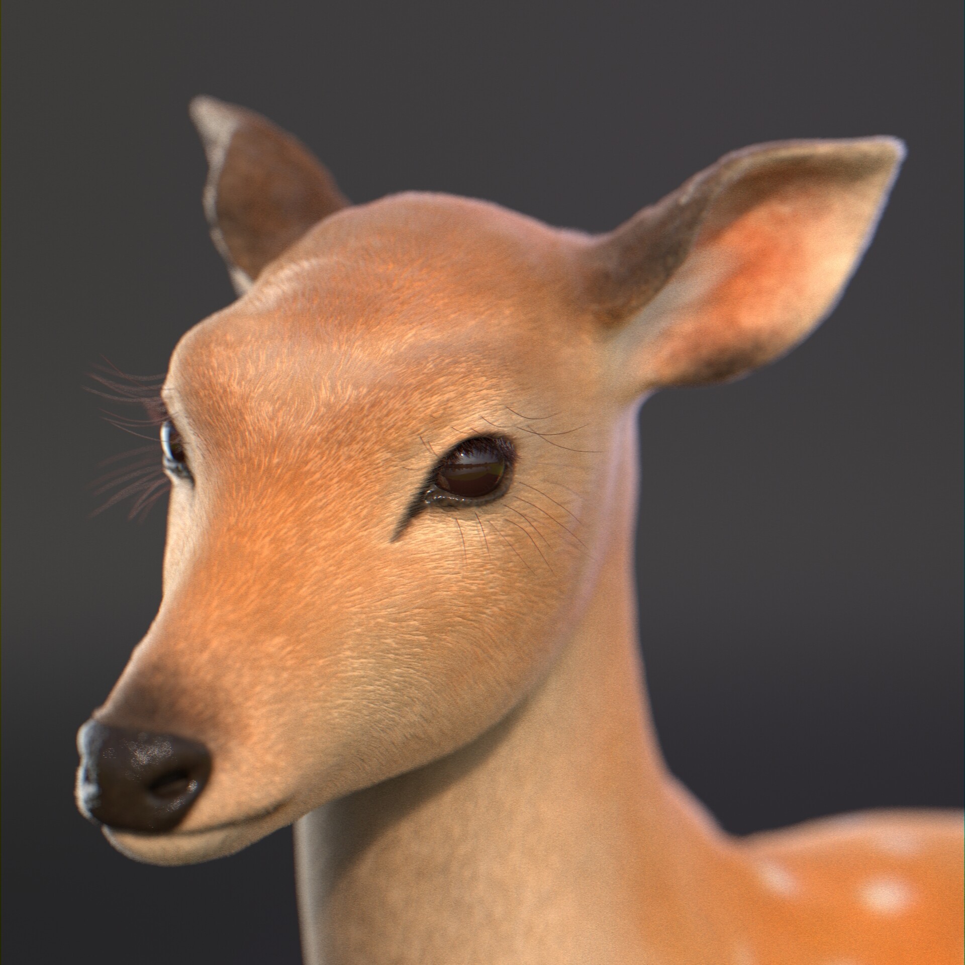 ArtStation - Dear Deer. 鹿