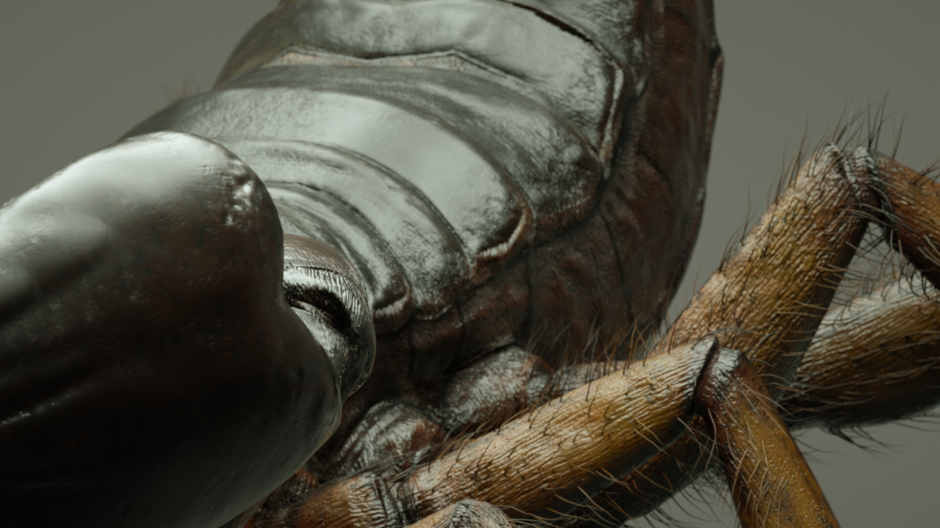 ArtStation - Scorpion King