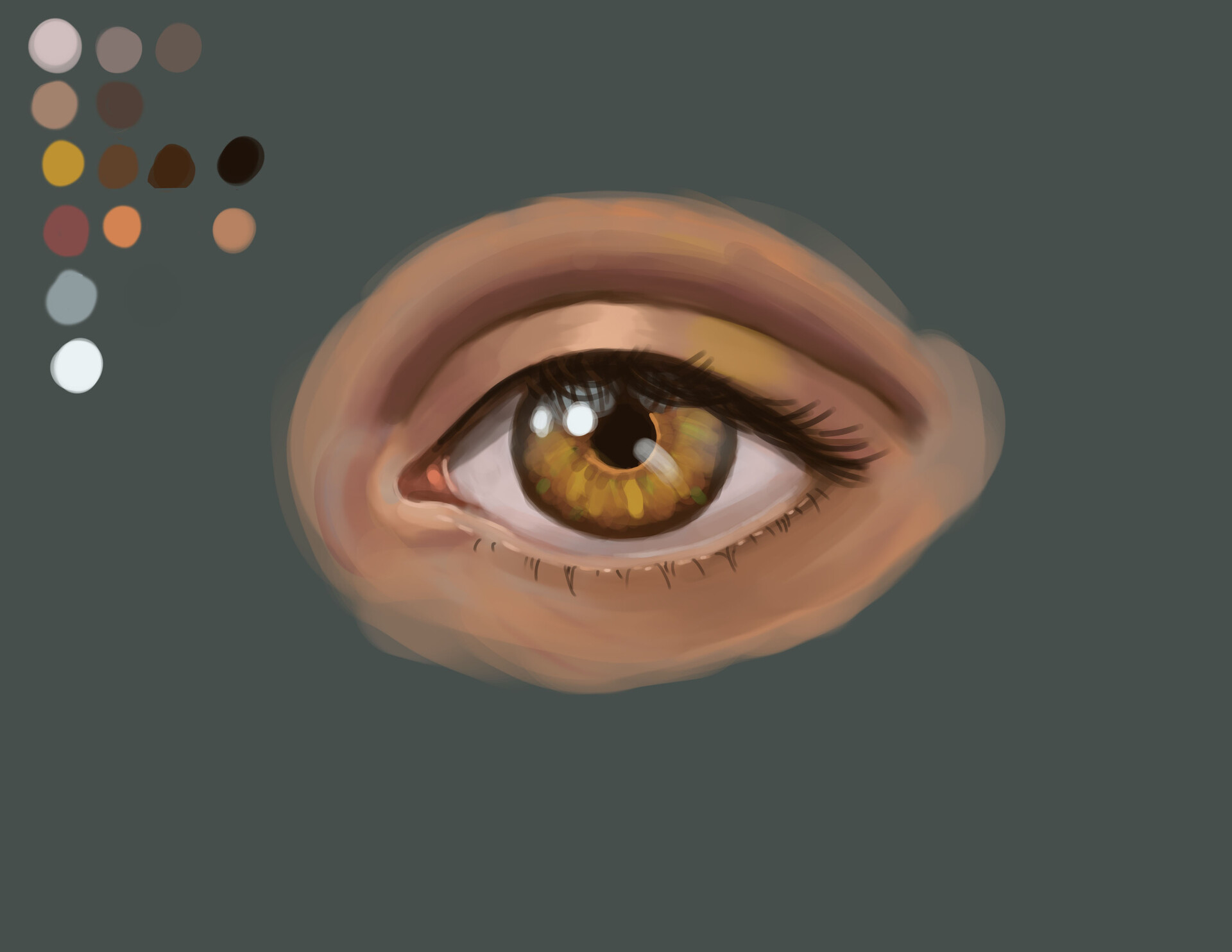 ArtStation - Eye study