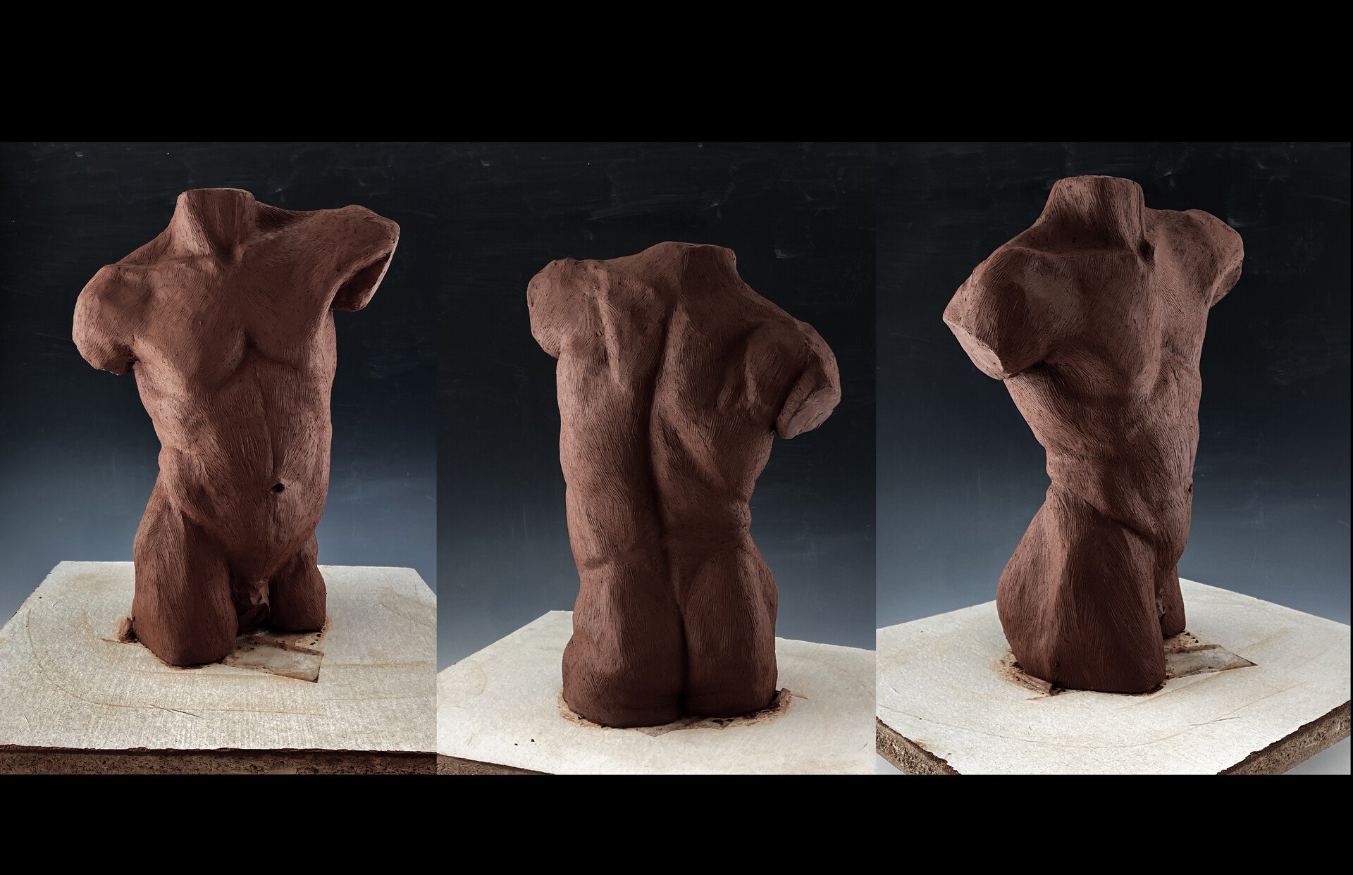 ArtStation - Live Torso Study