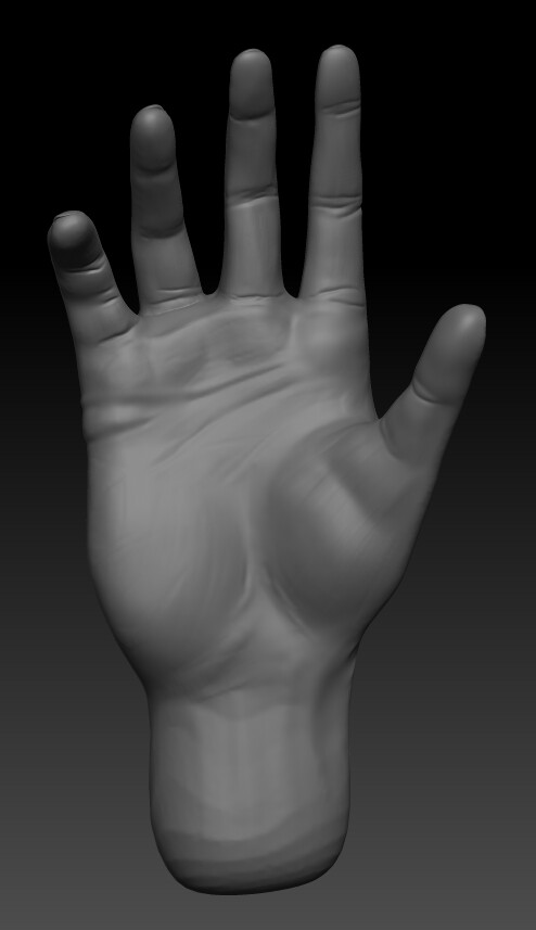 ArtStation - Sculpting : Hand