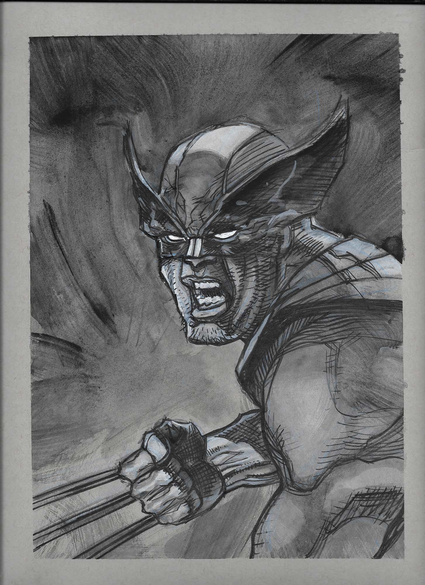 daniele afferni artist website - wolverine portrait